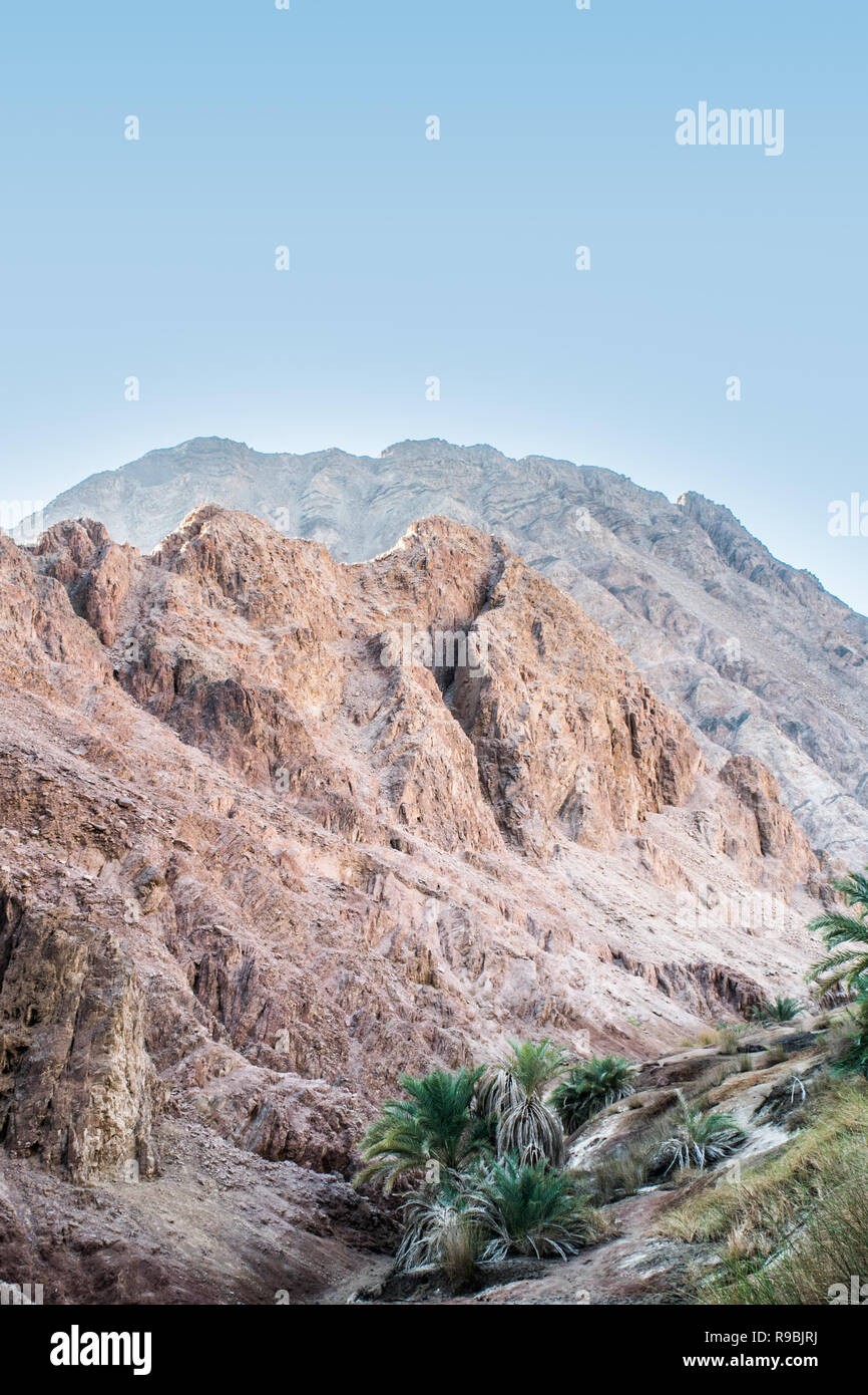 oasis in Dahab Sinai Egypt Stock Photo - Alamy
