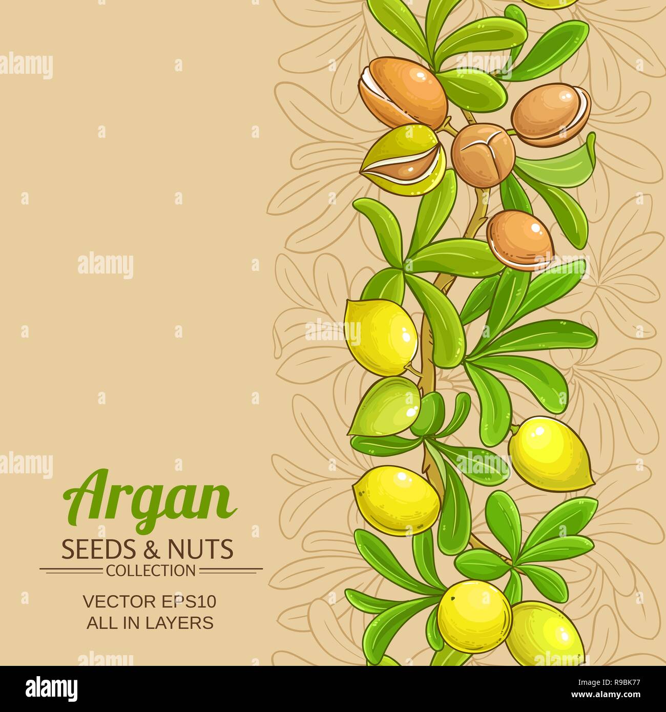 Argan oil vector vectors hi-res stock photography and images - Alamy