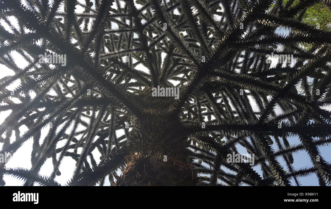 Mesh network hi-res stock photography and images - Alamy