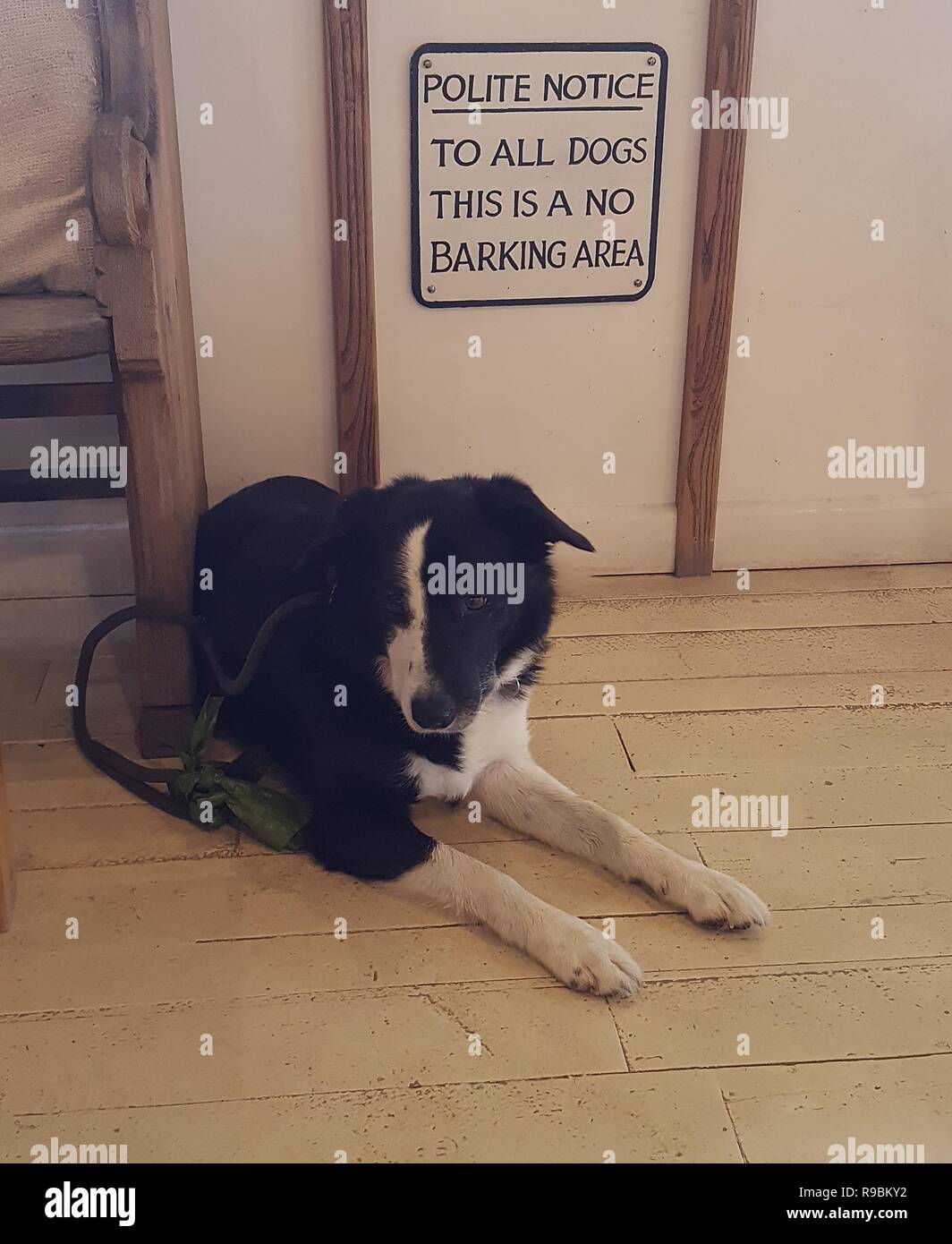 No barking sign hi-res stock photography and images - Alamy