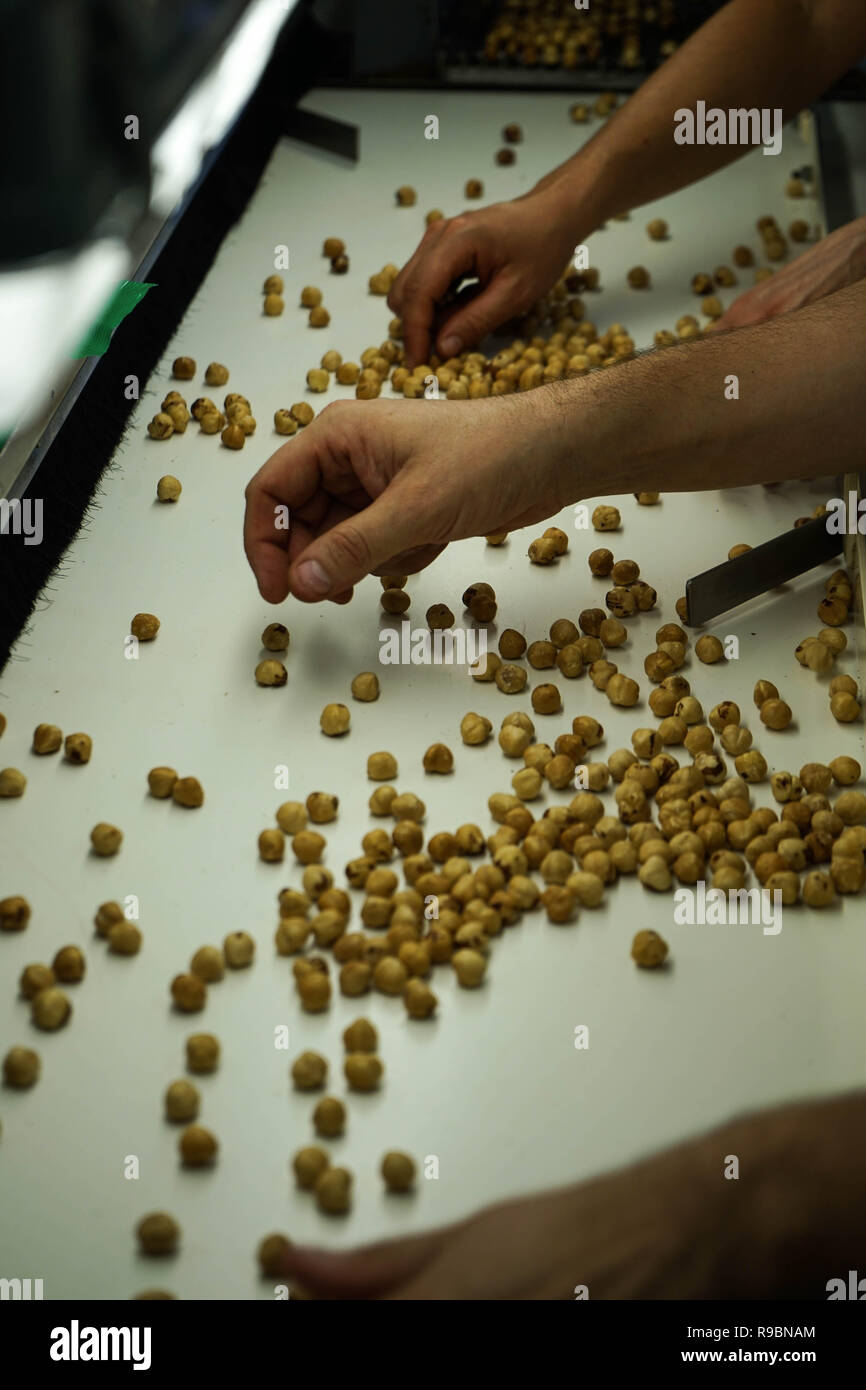 Hazel processing hi-res stock photography and images - Alamy