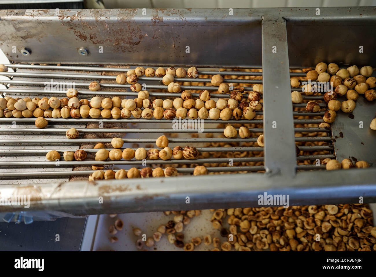 Hazel processing hi-res stock photography and images - Alamy