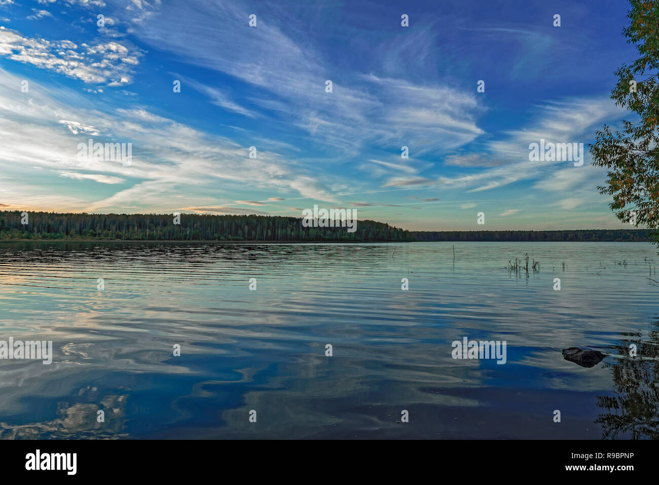 Autumn landscape sunset in the forest by the lake Stock Photo - Alamy