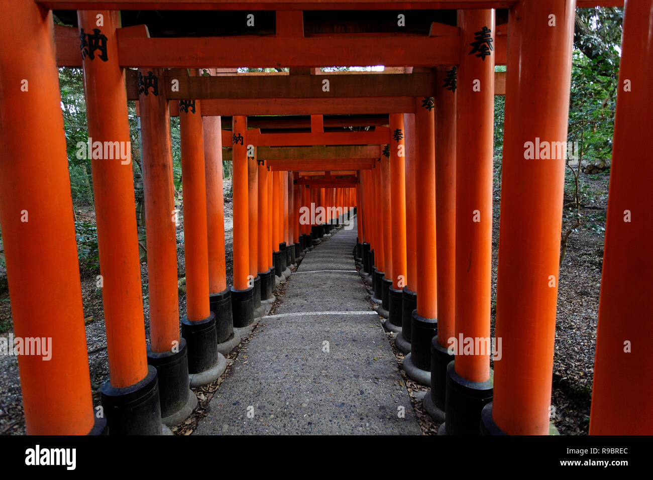 Beautiful tunnel of torii doors in the Fushimi Inari shrine of Kyoto ...