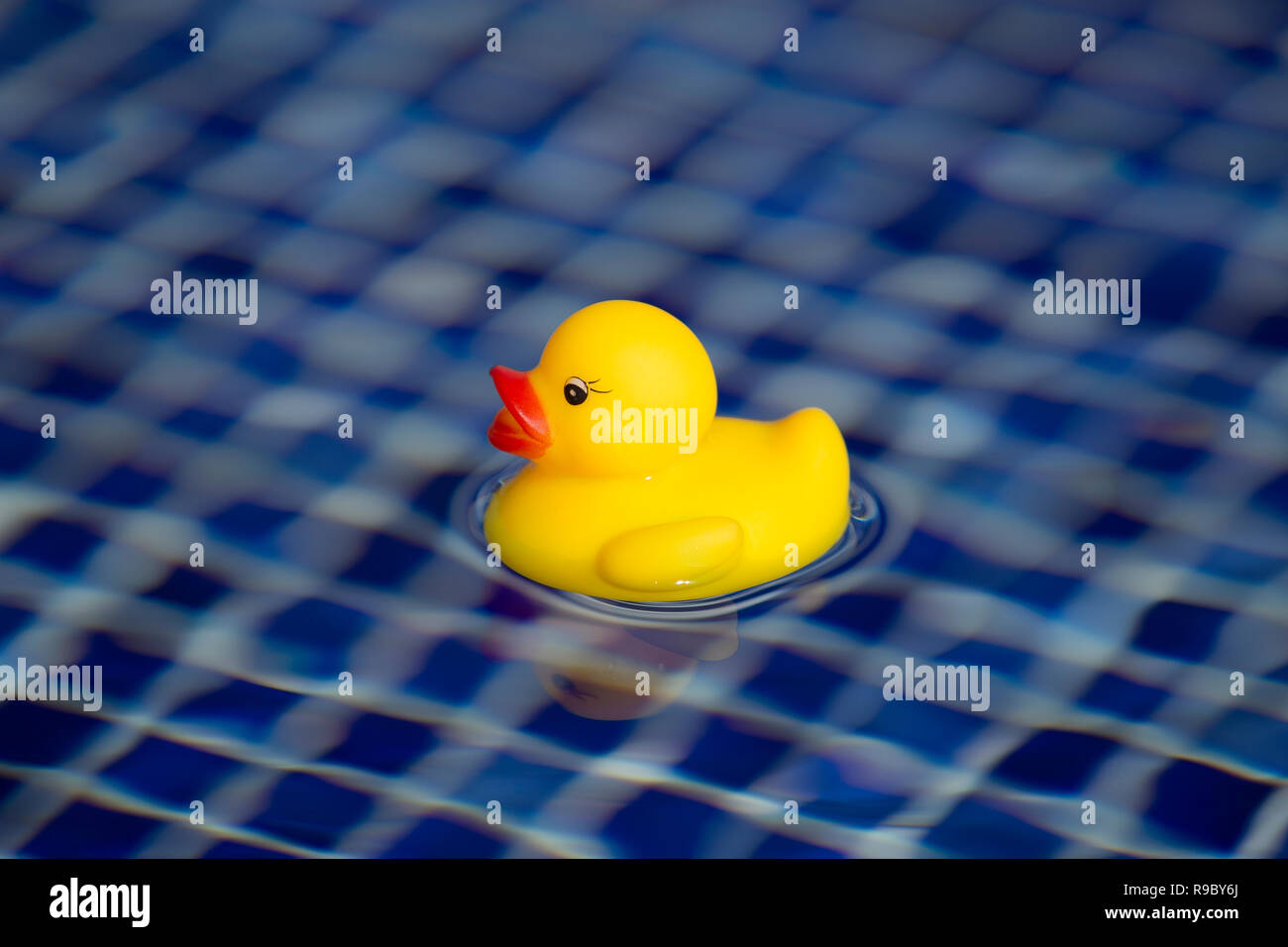 Floating Rubber Ducky High Resolution Stock Photography and Images - Alamy