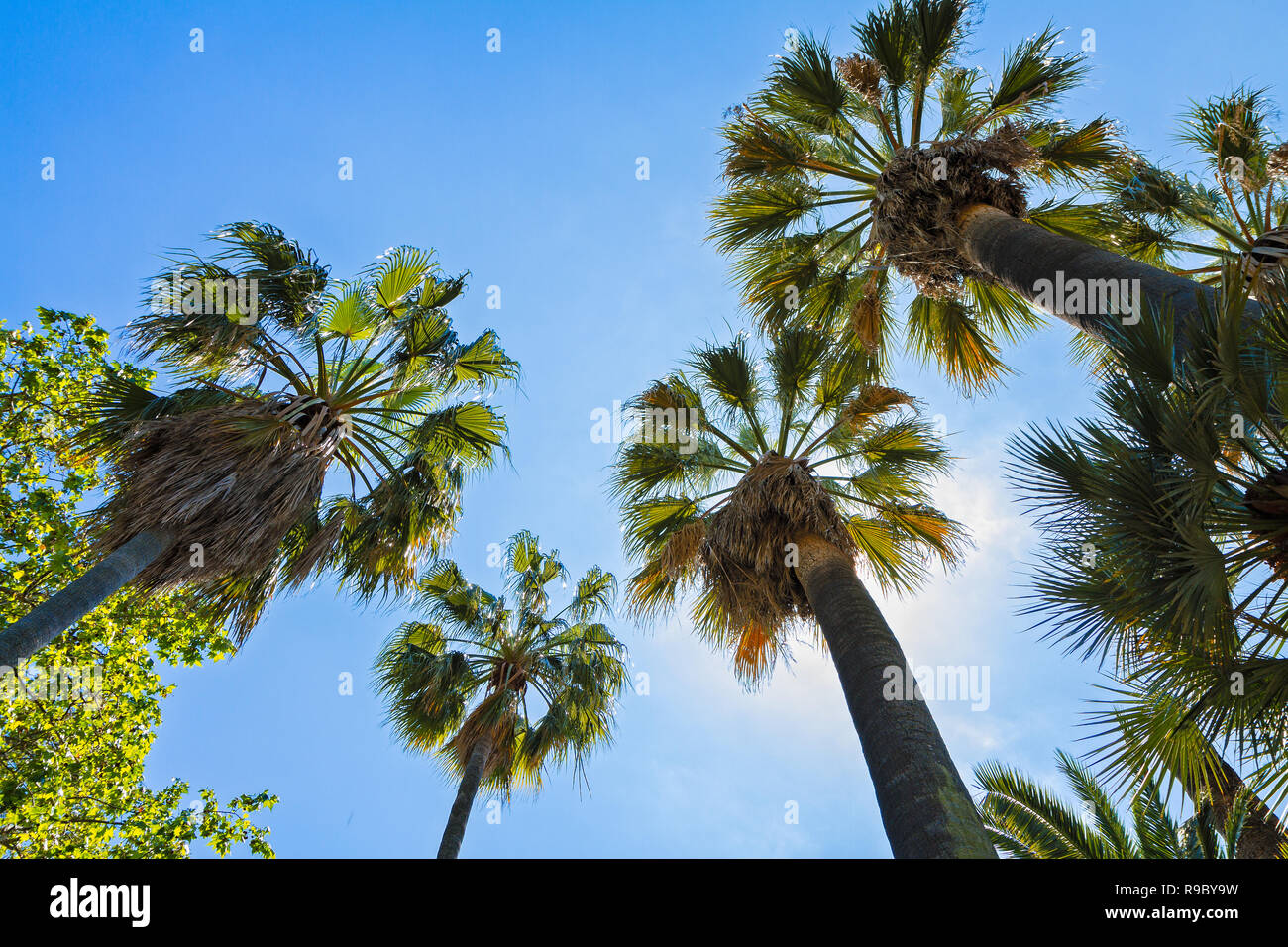 Recreation blue hi-res stock photography and images - Alamy