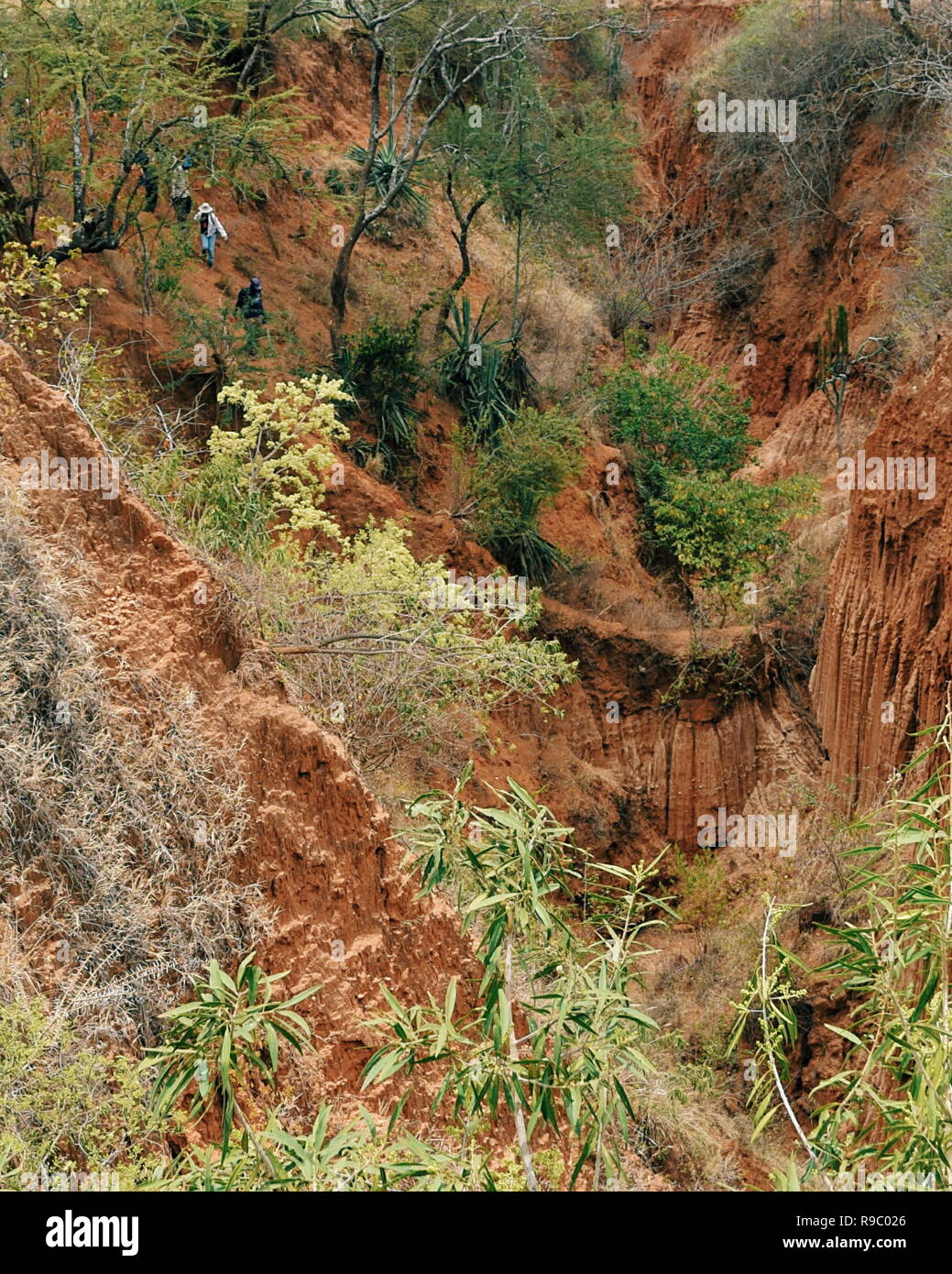 Slide soil erosion in Kilome Plains, Kenya Stock Photo - Alamy