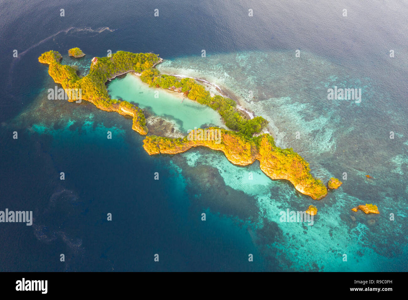 Limestone islands in Raja Ampat, Indonesia, are surrounded by healthy ...