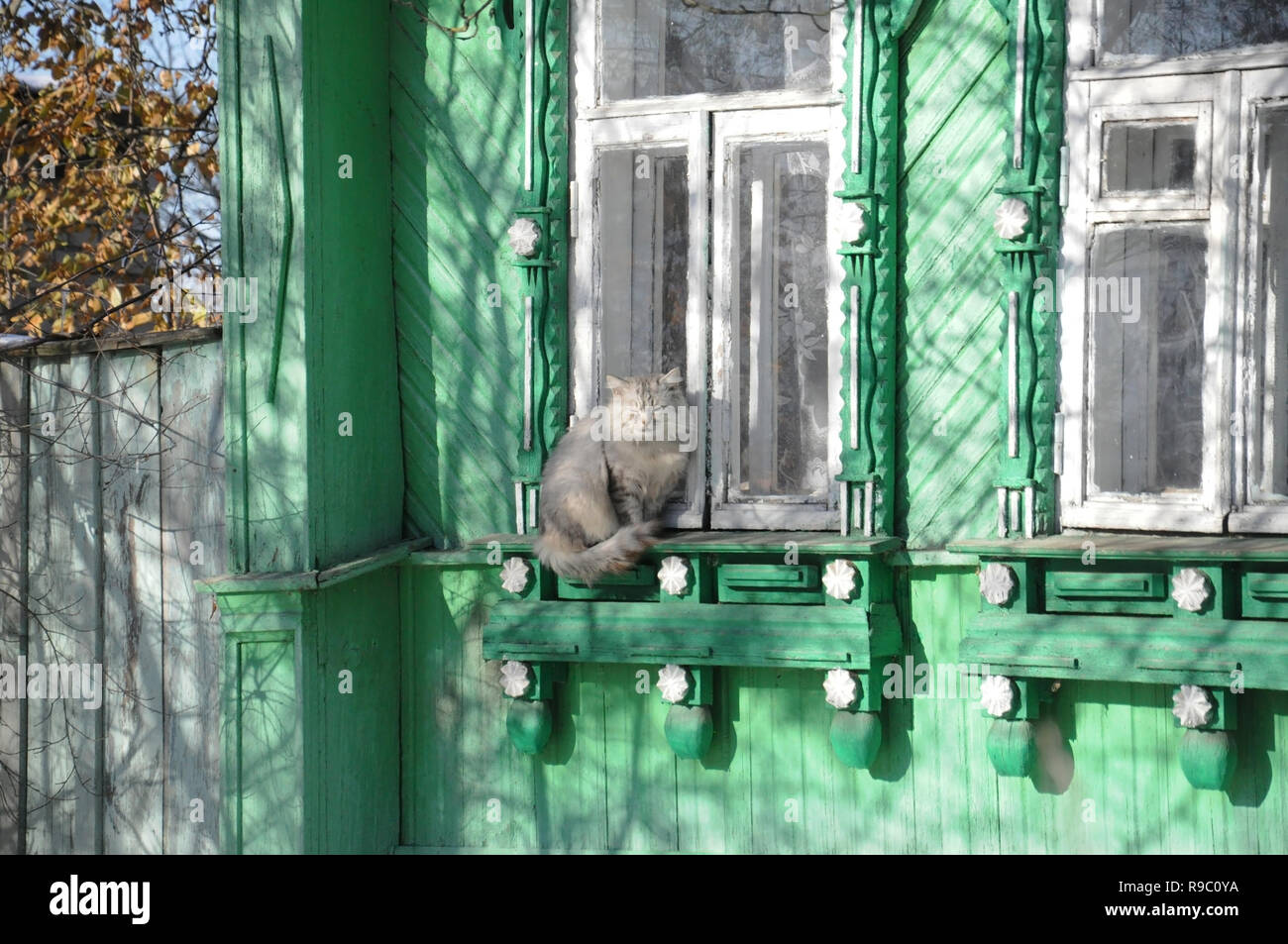 Kovrov, Russia. 25 October 2014. Cat sitting on window casing of the ...