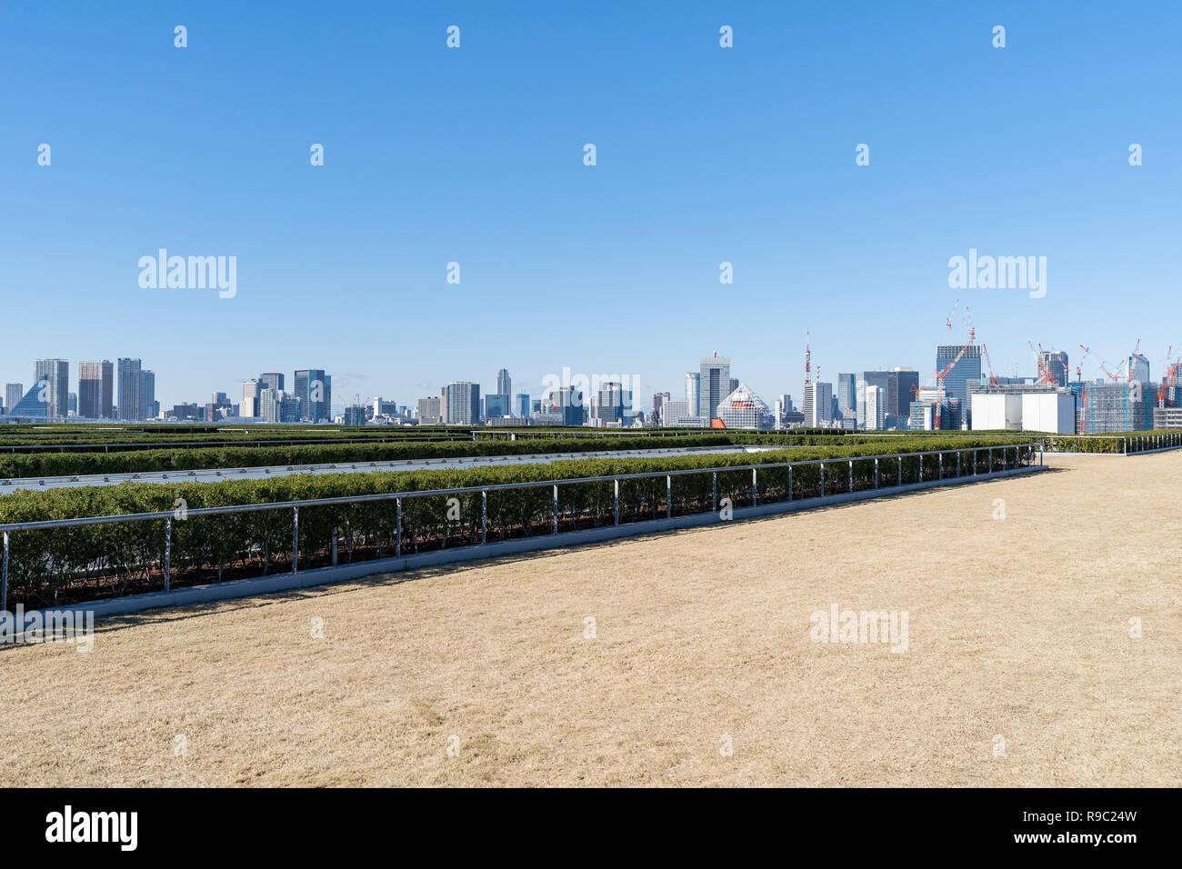 Tokyo rooftop garden hi-res stock photography and images - Alamy