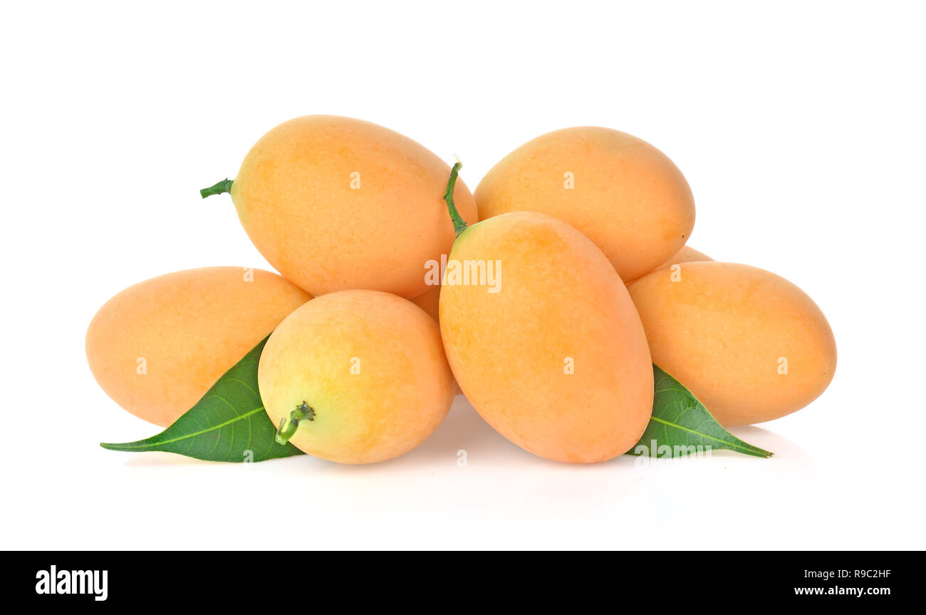 Bouea macrophylla on white background Stock Photo - Alamy