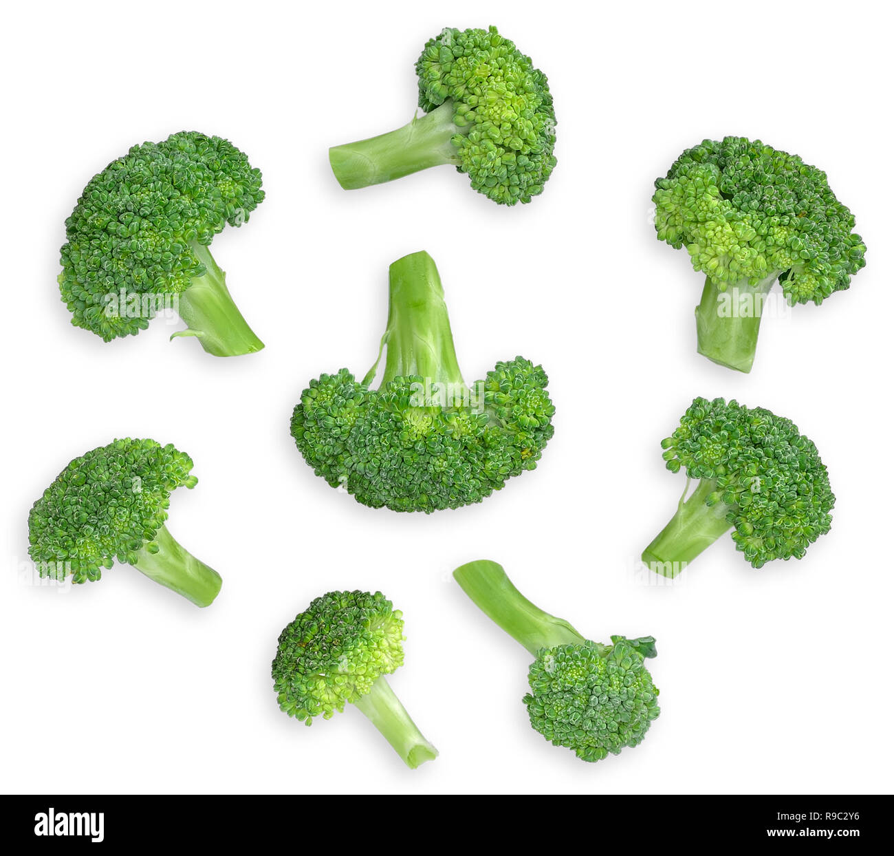 Broccoli isolated on white background with top view Stock Photo - Alamy