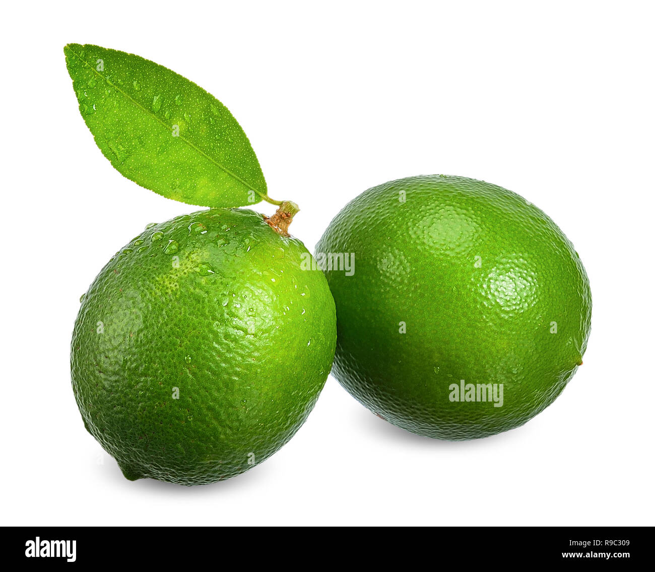 Lime isolated on white with clipping path Stock Photo - Alamy