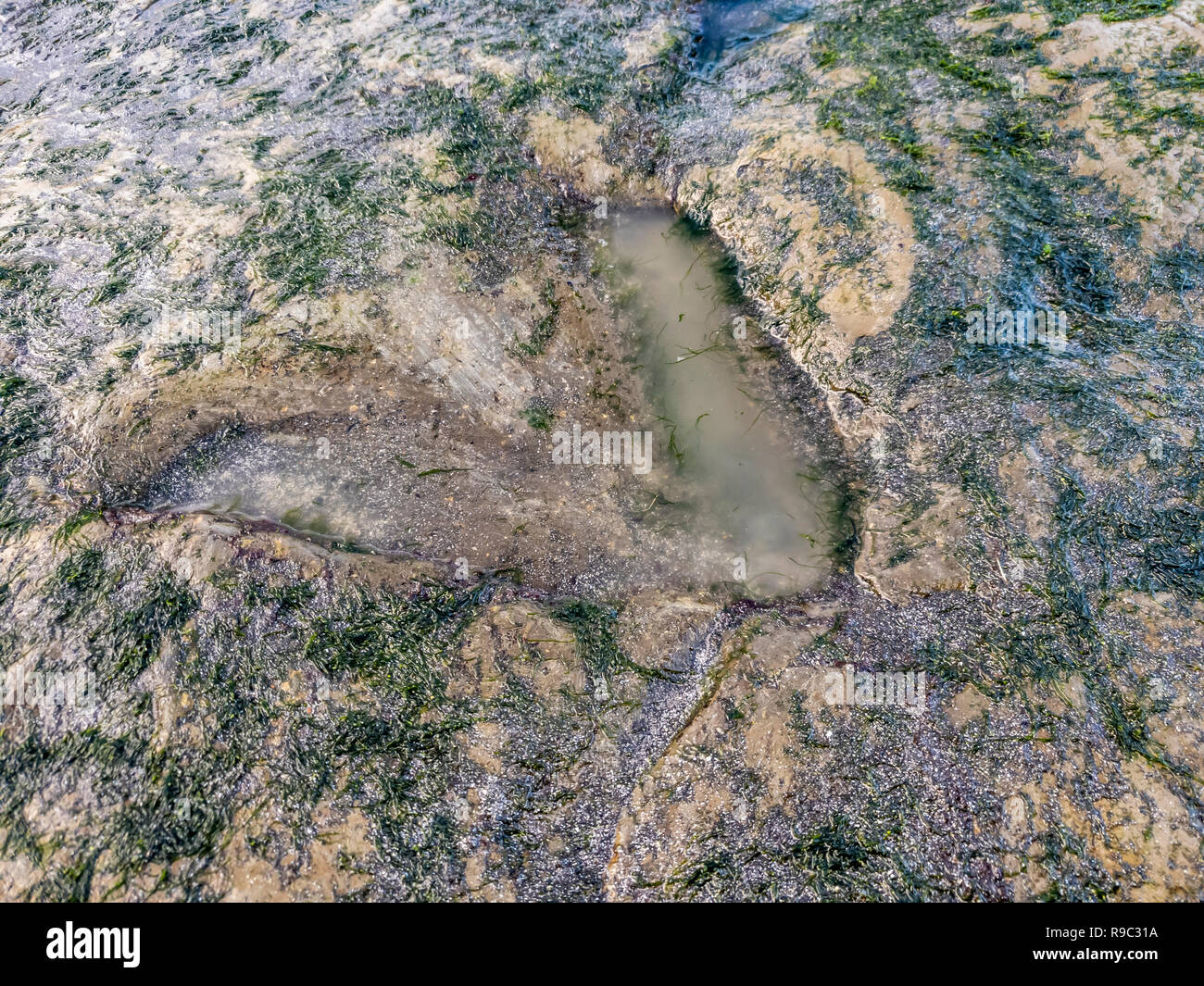 The famous Dinosaur footprints at An Corran beach by Staffin on the ...