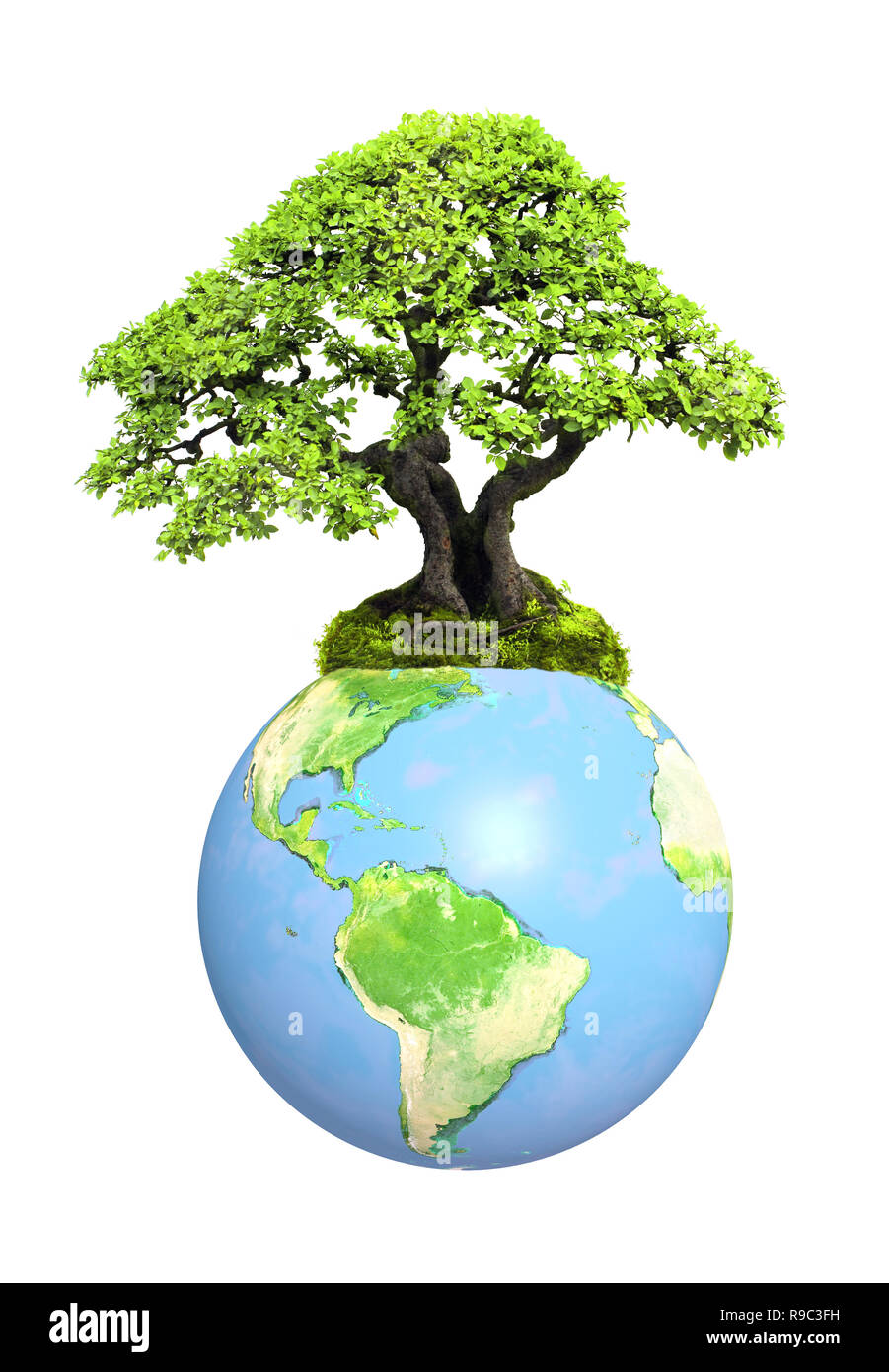 Earth and tree. Isolated on white background. Elements of this image ...