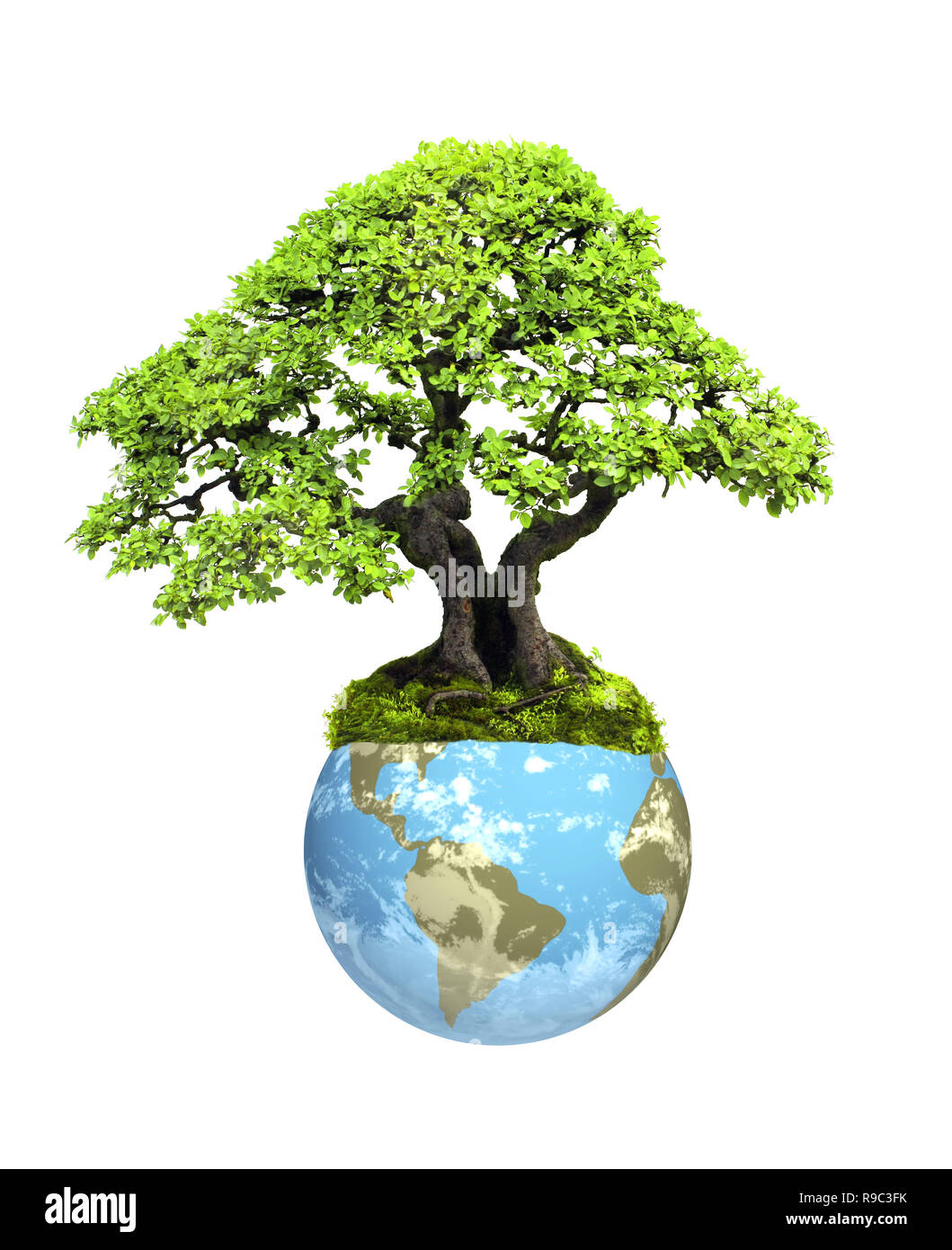 Earth and tree. Isolated on white background. Elements of this image ...