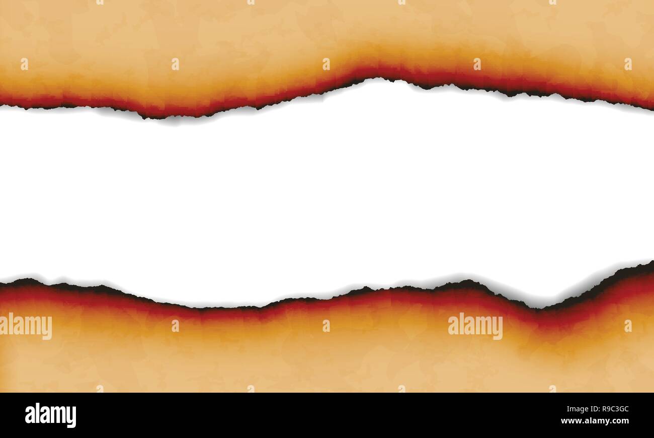 Burnt Paper Background Vector
