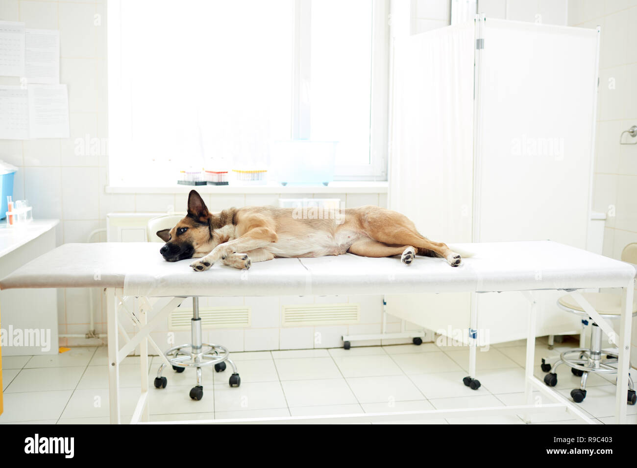 Sick checkup hi-res stock photography and images - Alamy