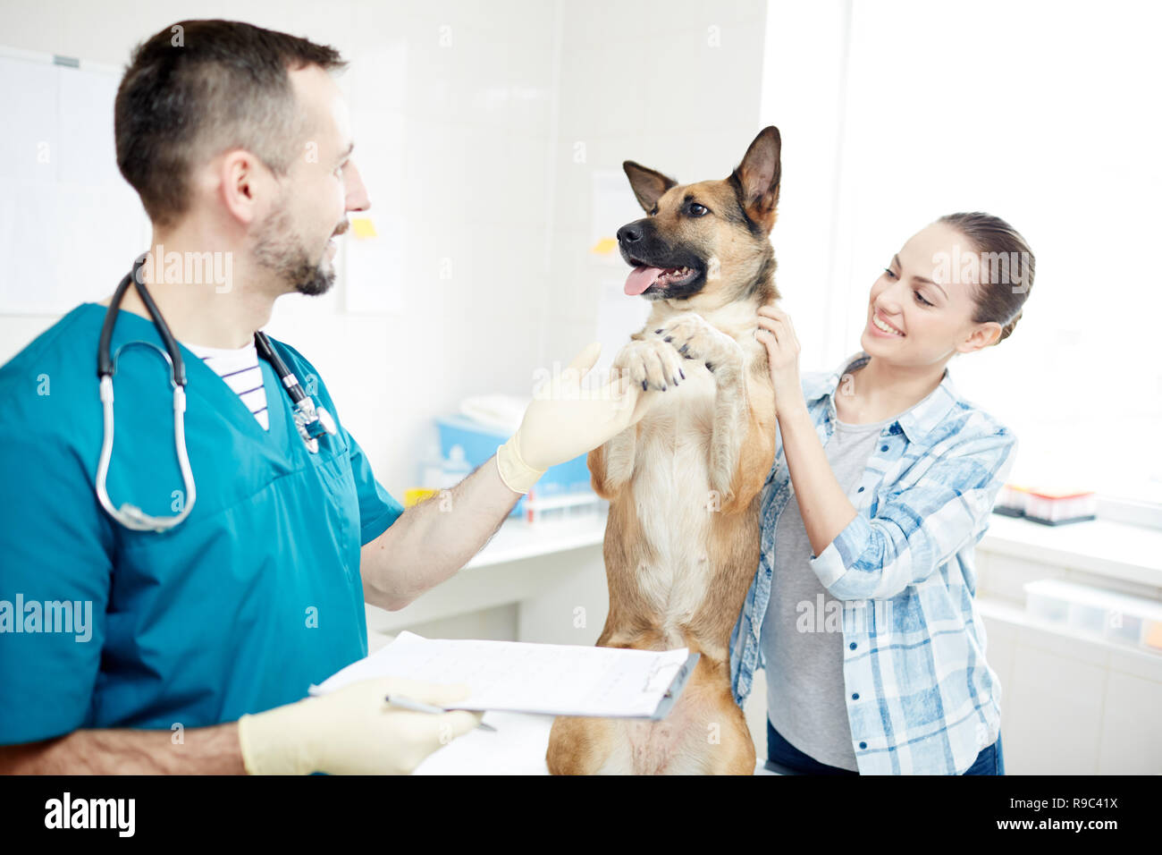 Doctor dog hi-res stock photography and images - Alamy
