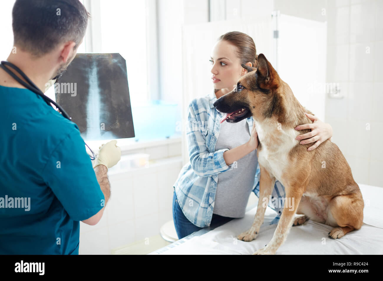 X ray image dog hi-res stock photography and images - Alamy