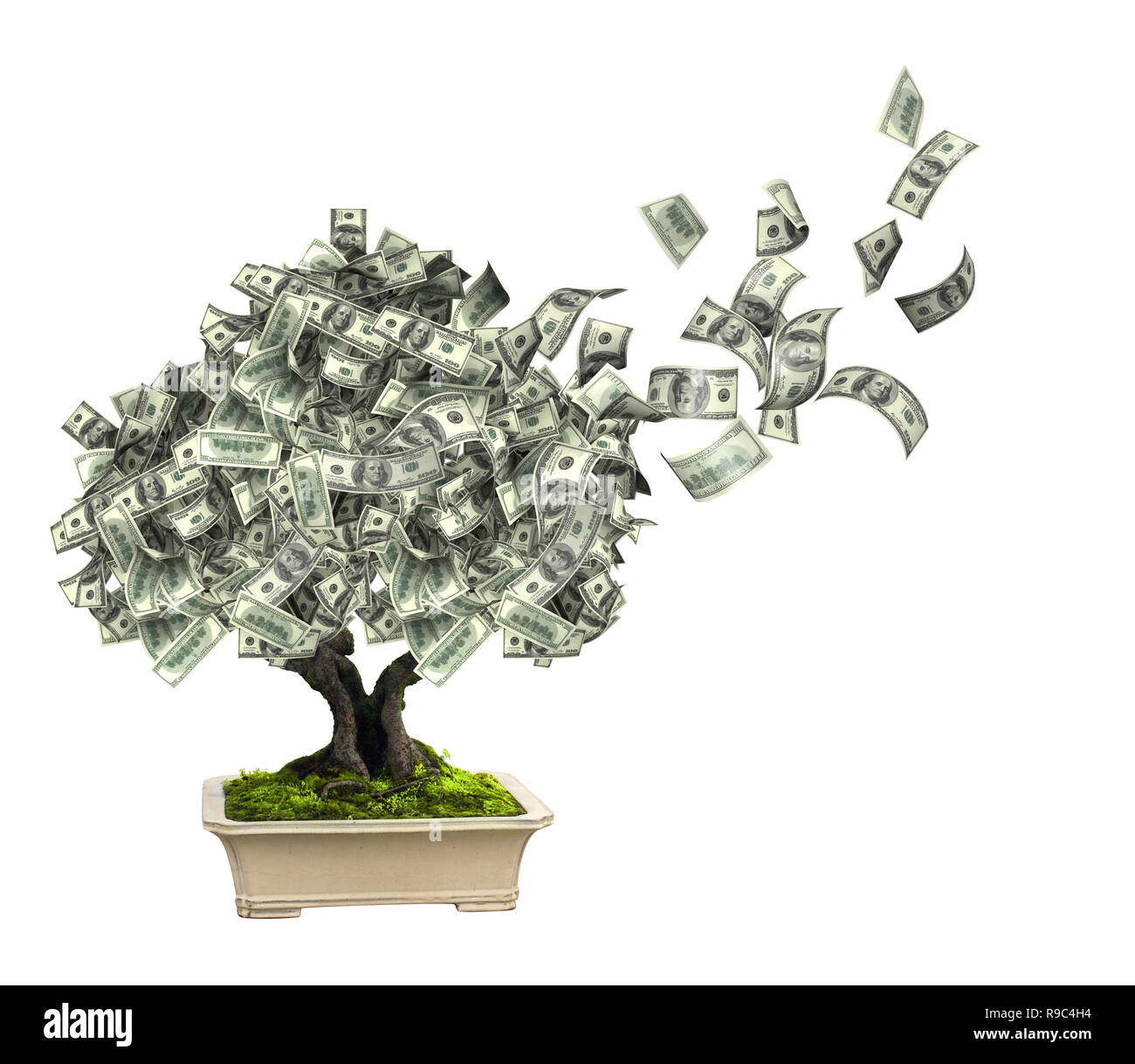 Money tree with dollar banknotes. Isolated on white background. 3d ...
