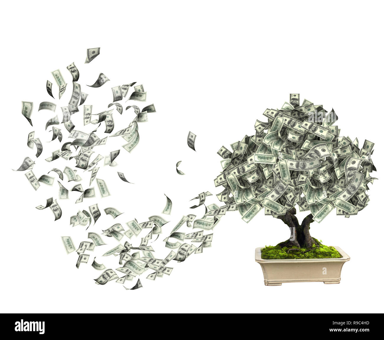 Money tree with dollar banknotes. Isolated on white background. 3d ...