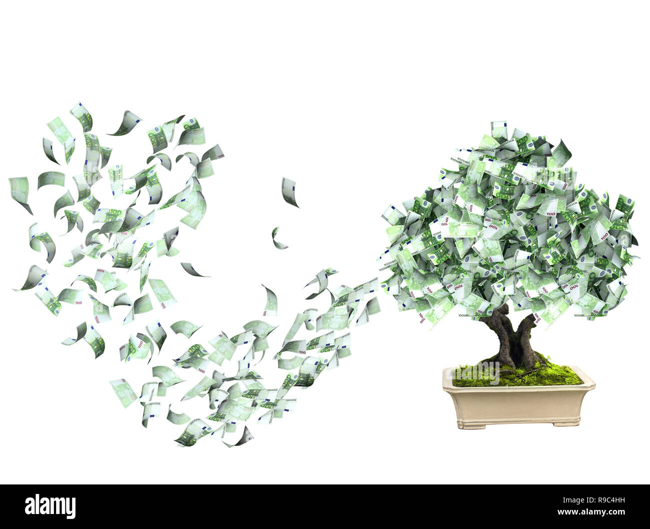 Money tree with euro banknotes. Isolated on white background. 3d render ...