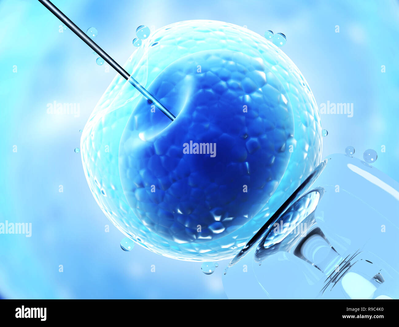 Cell injection - artificial insemination. Needle puncture the cell ...