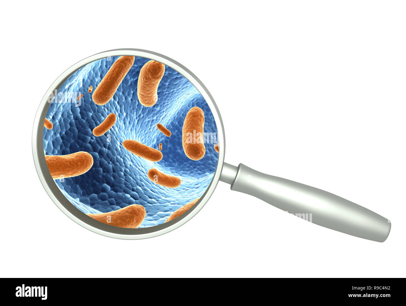 Magnifying glass and colony of pathogen bacteria. Isolated on white ...