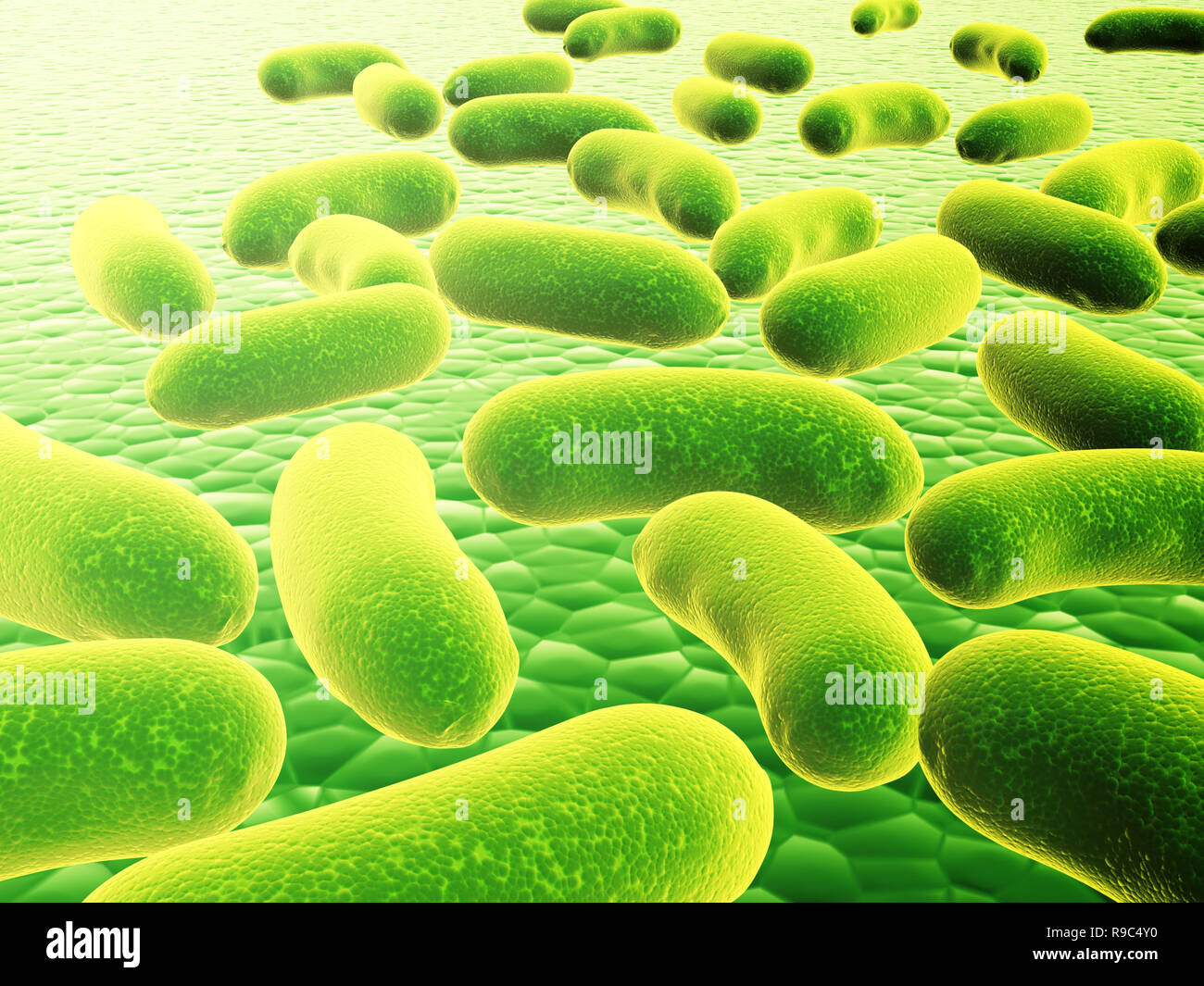 Pathogen bacteria on the surface. 3d render Stock Photo - Alamy