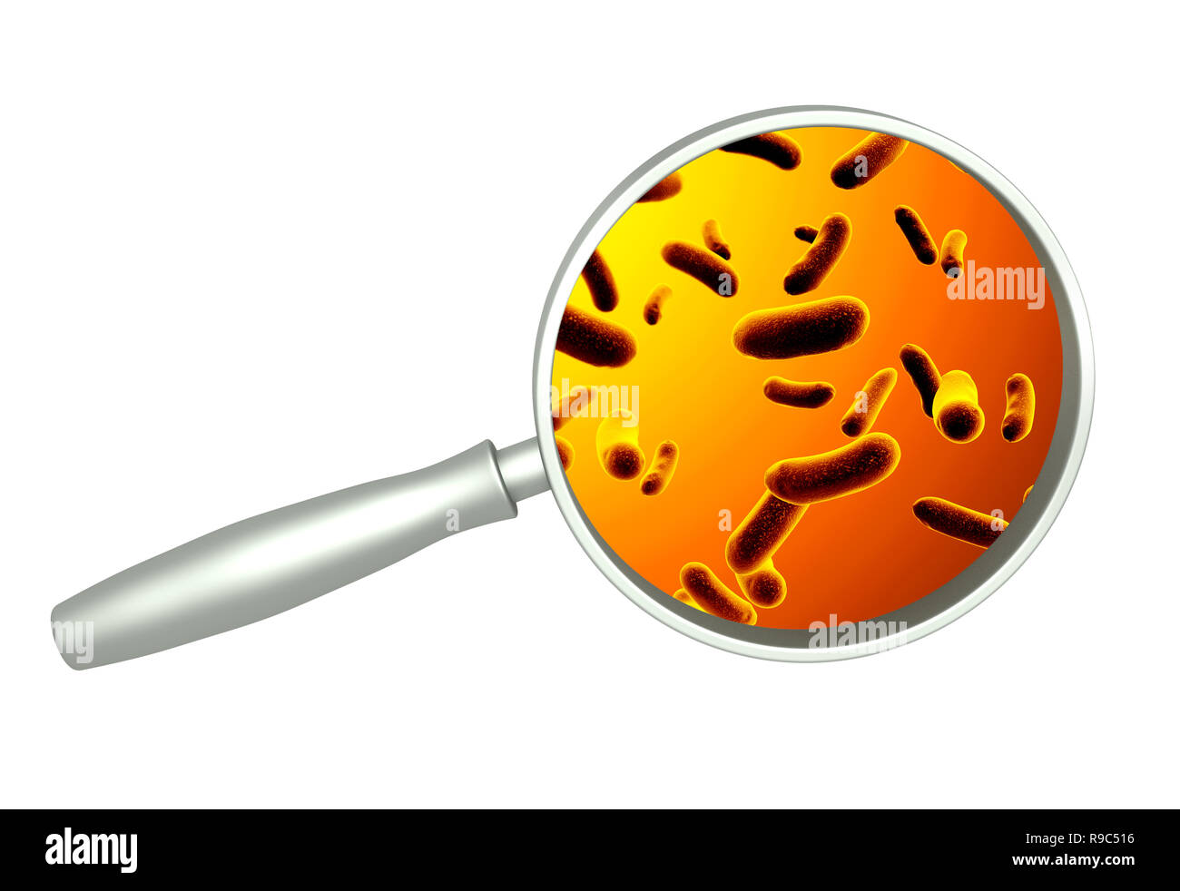 Magnifying glass and colony of pathogen bacteria. Isolated on white ...