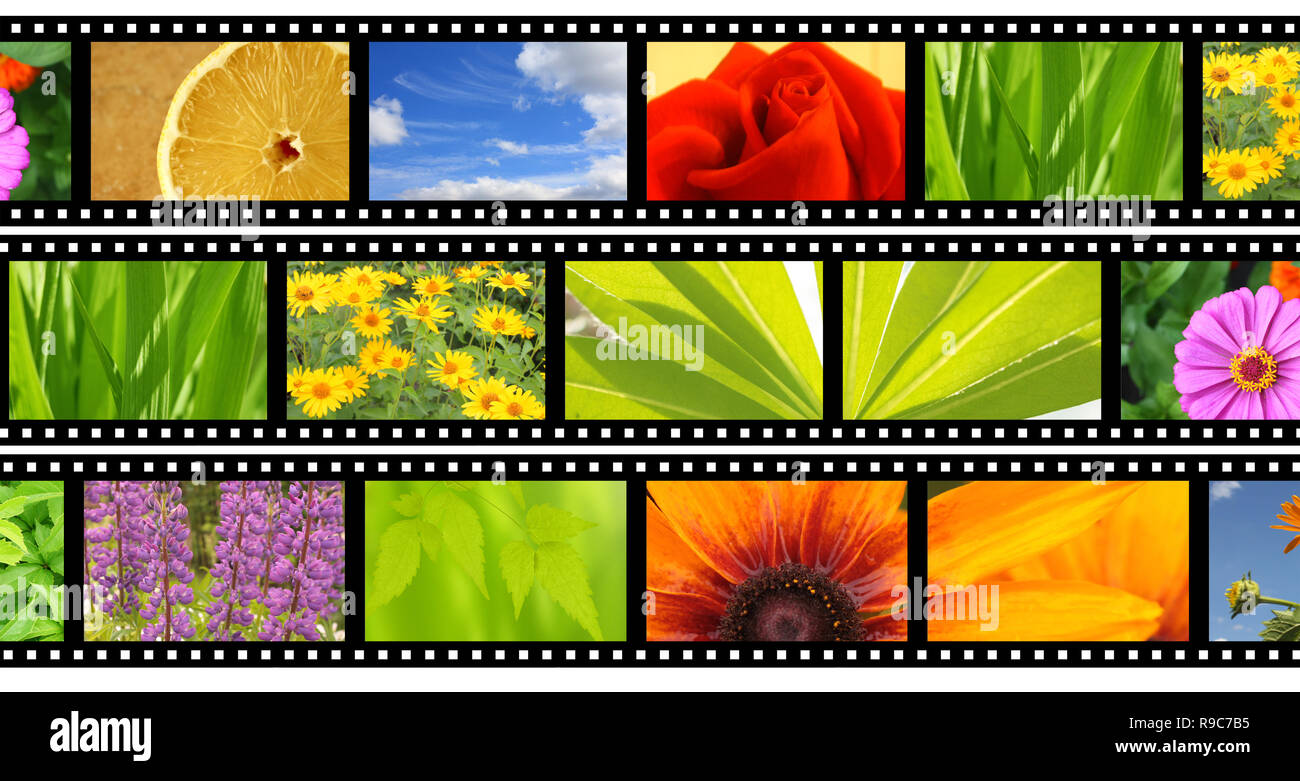 Background - abstract photographic film Stock Photo - Alamy