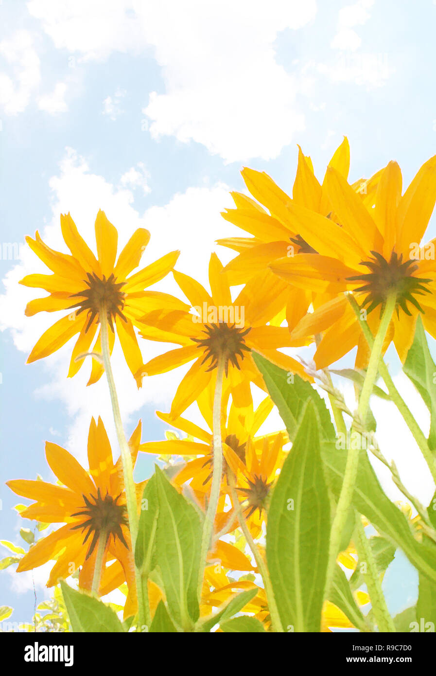 Imitation painting hi-res stock photography and images - Alamy