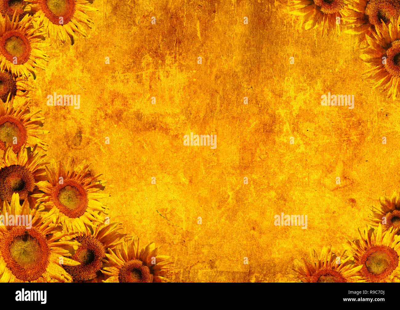 Grunge background - decorative collage from beautiful sunflowers Stock ...