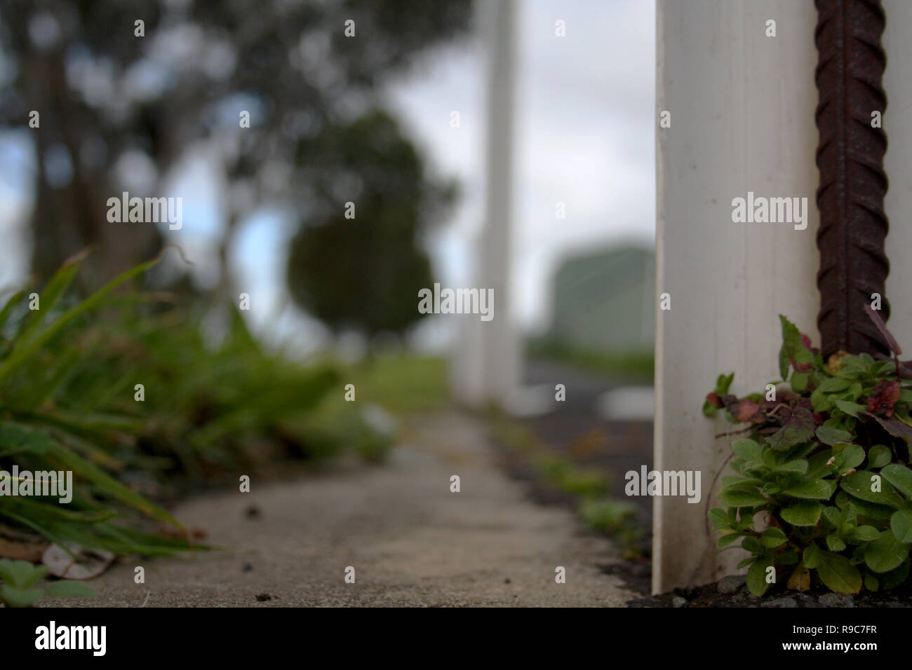 Depth of field photo hi-res stock photography and images - Alamy