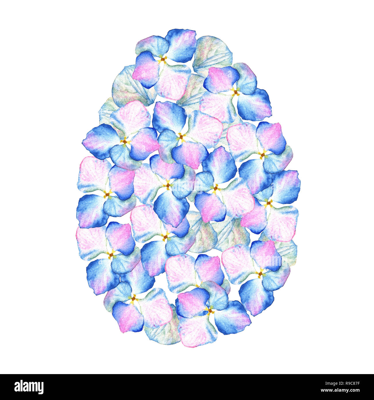 Watercolor inflorescence Hydrangea Easter egg design. May be used for ...