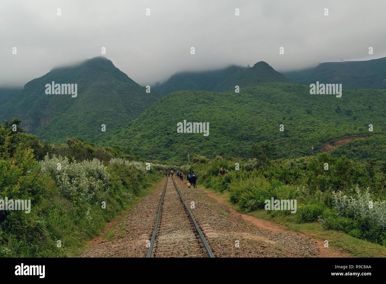A railway line against a foggy mountain background, Kijabe Hills, Kenya ...