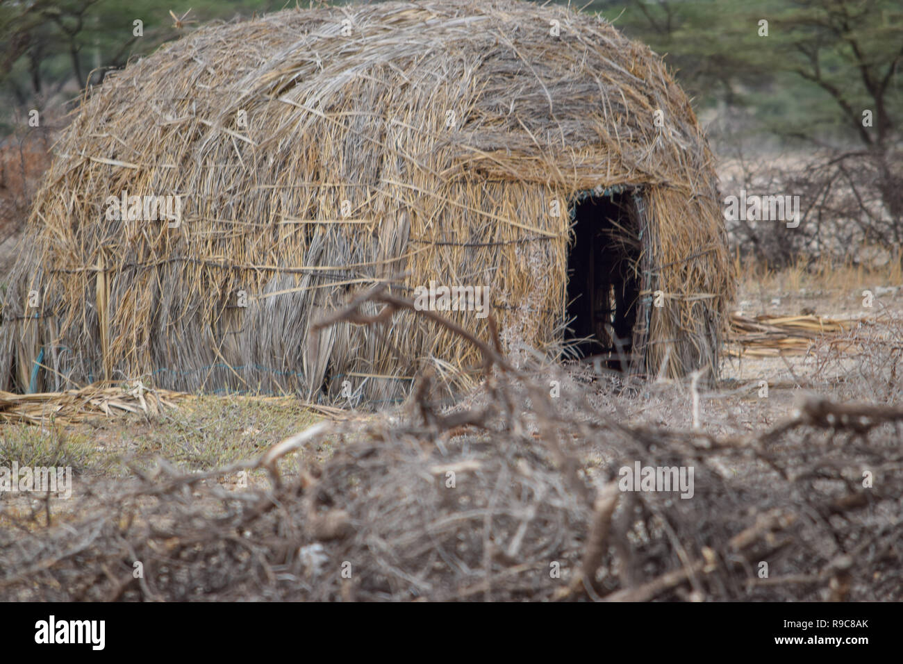 A traditional masai grass thatched house at Samburu, Kenya Stock Photo ...
