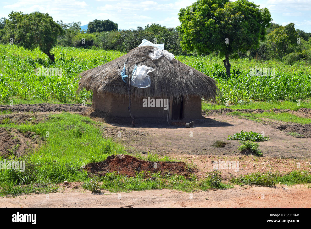 A traditional grass thatched house at the highway, Chitimba, Malawi ...