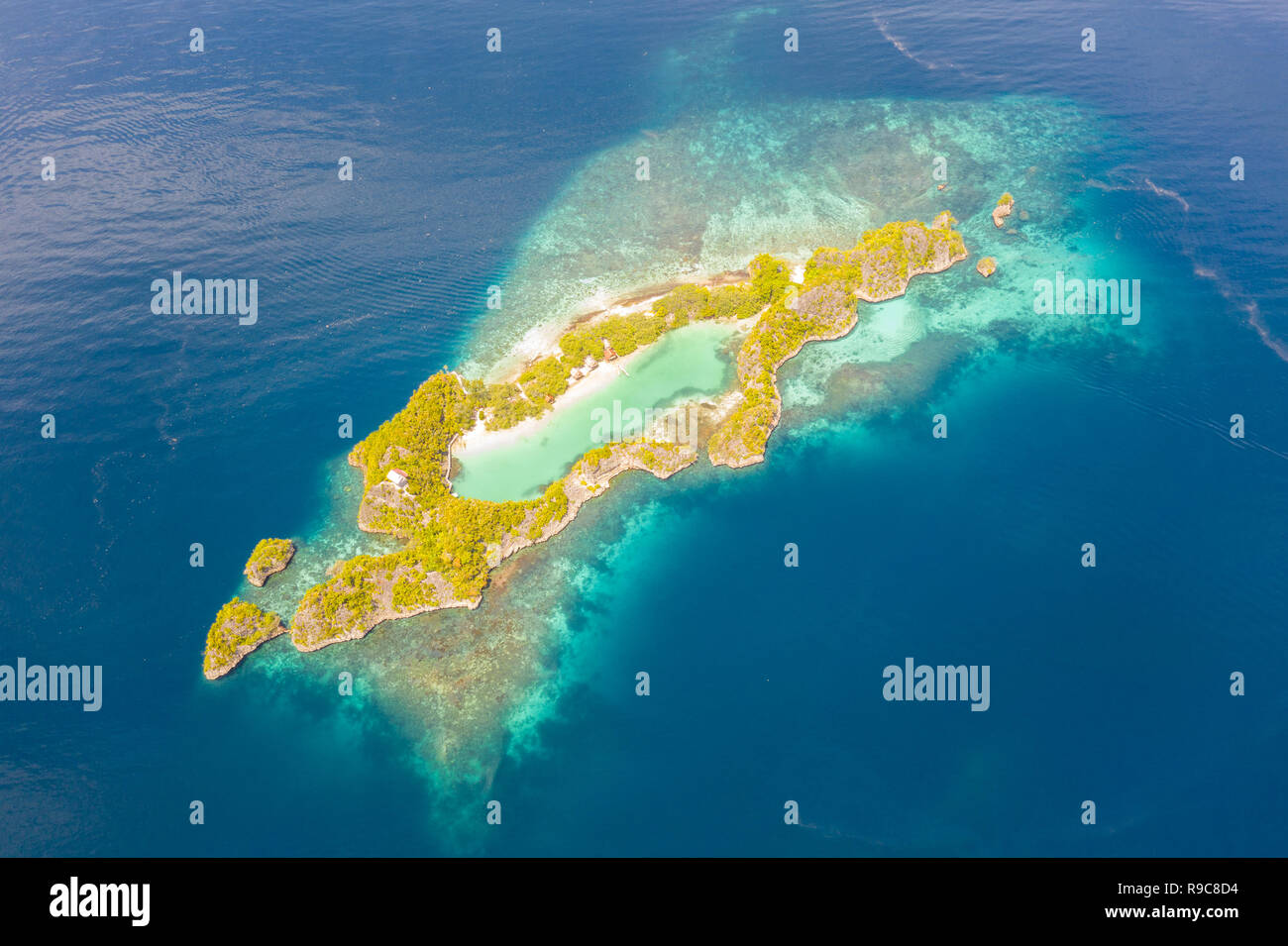 Limestone islands in Raja Ampat, Indonesia, are surrounded by healthy ...