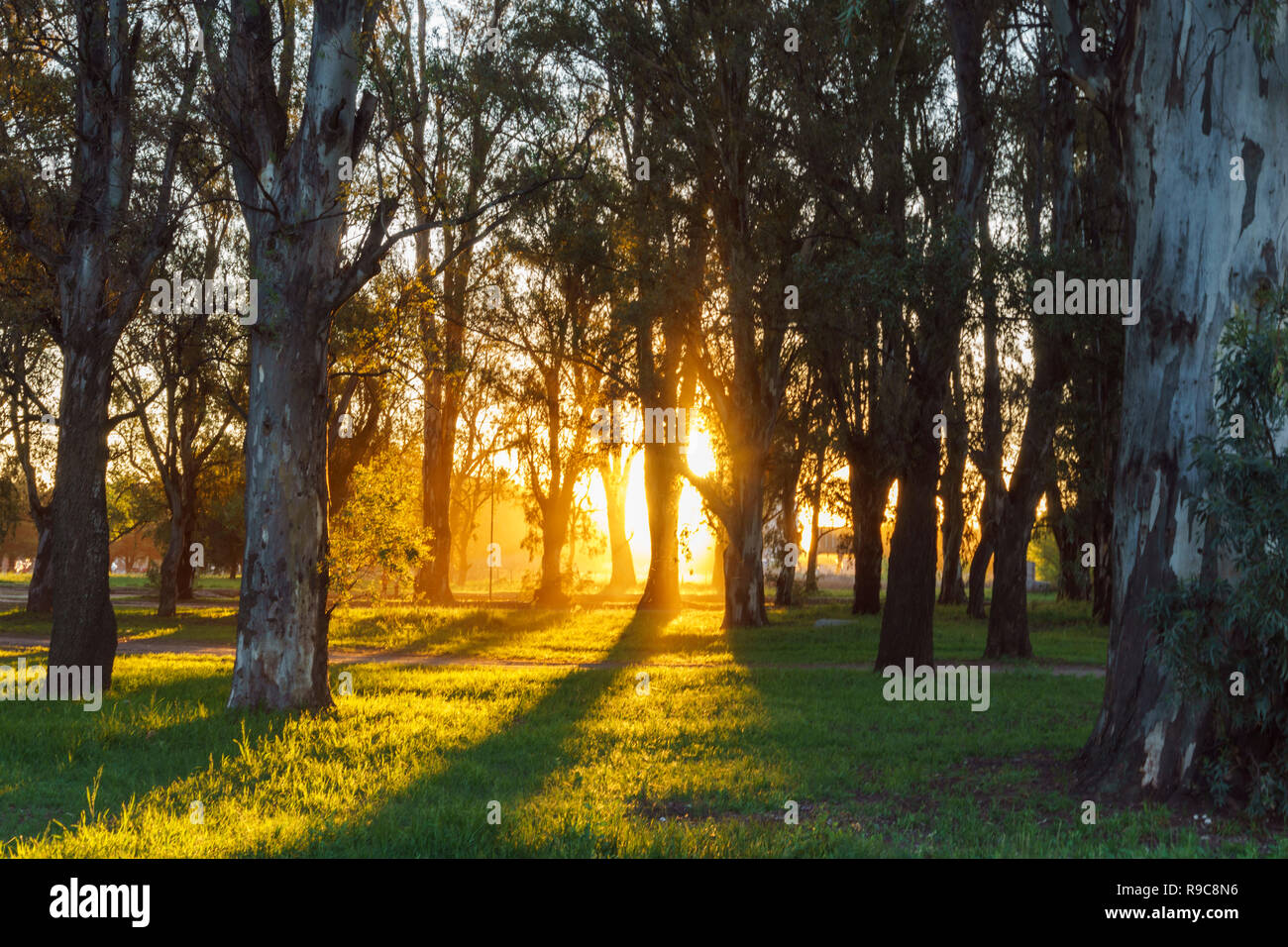 Orange Sunset in Huinca Renanco, Cordoba, Argentina Stock Photo - Alamy