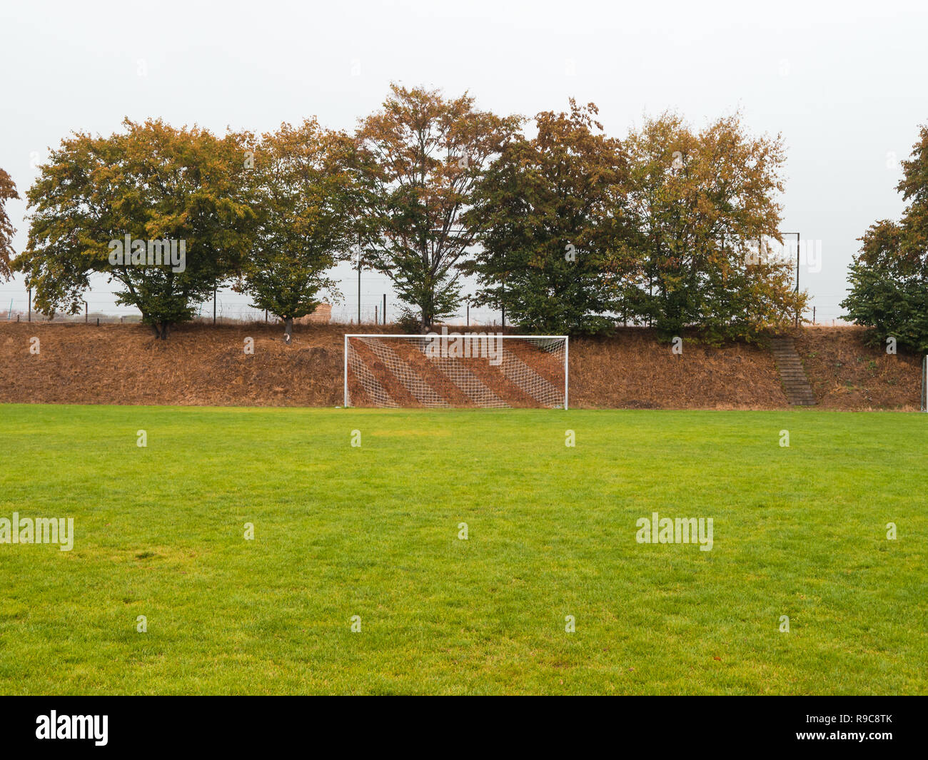 Grass soccer pitch hi-res stock photography and images - Alamy