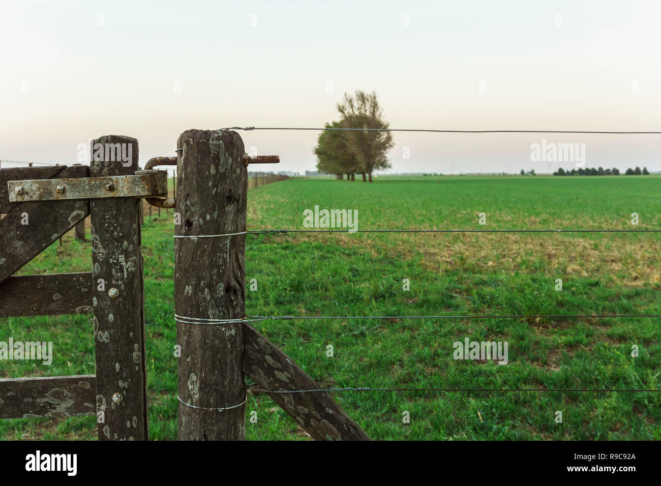 Huinca renanco hi-res stock photography and images - Alamy