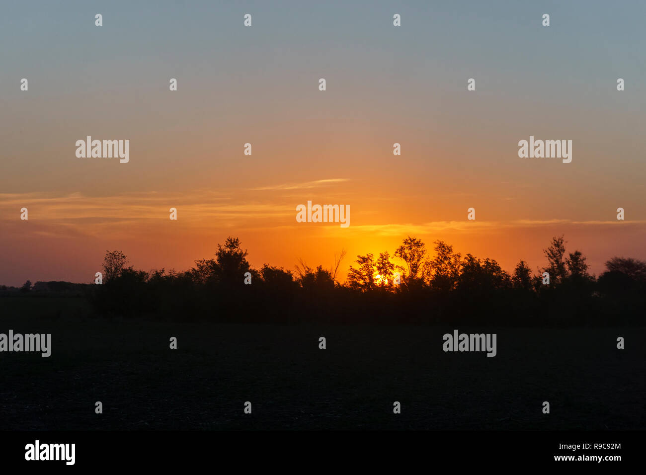 Cordoba argentina agriculture hi-res stock photography and images - Alamy