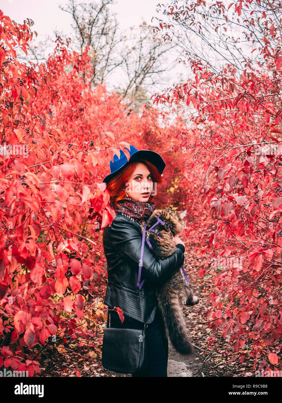 Cat walk model walking hi-res stock photography and images - Alamy