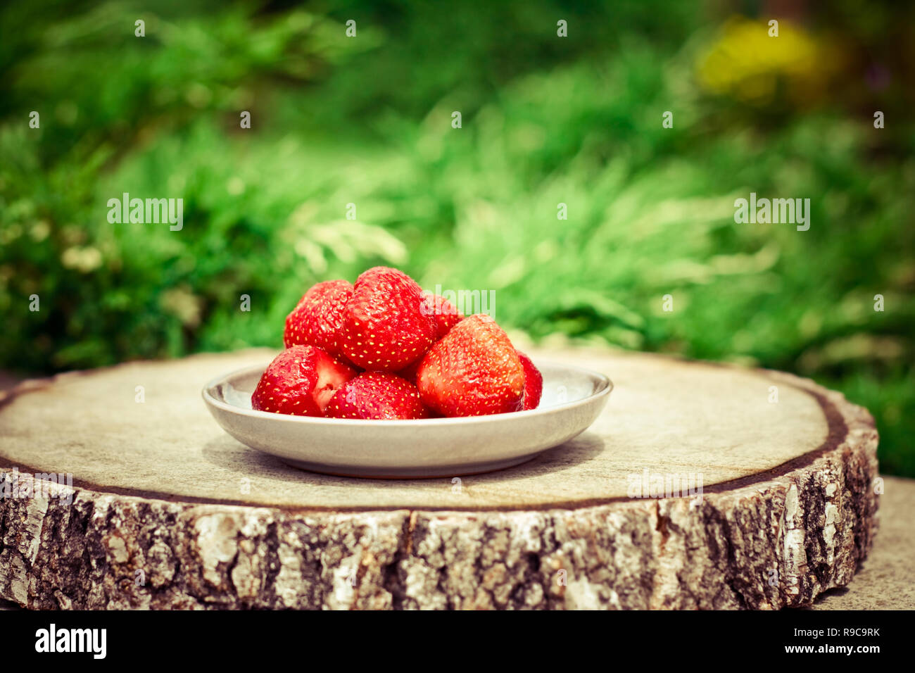strawberries from the garden - fresh fruits and healthy eating styled ...