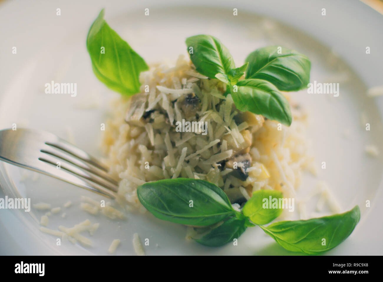 european and mediterranean cuisine styled concept - mushroom risotto ...