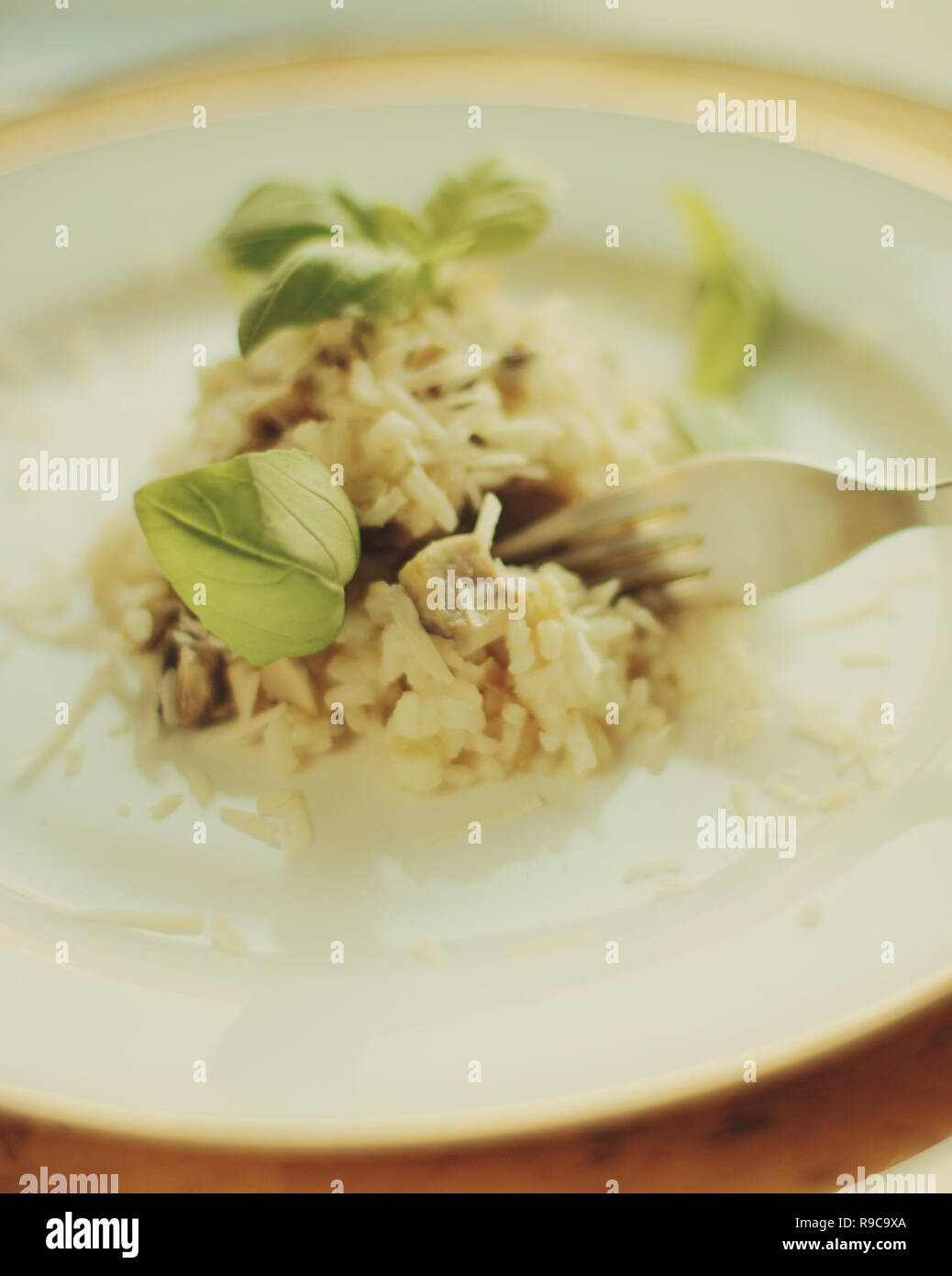 european and mediterranean cuisine styled concept - mushroom risotto ...