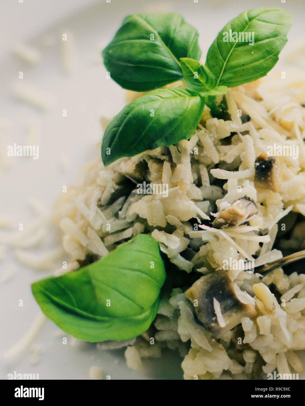 european and mediterranean cuisine styled concept - mushroom risotto ...