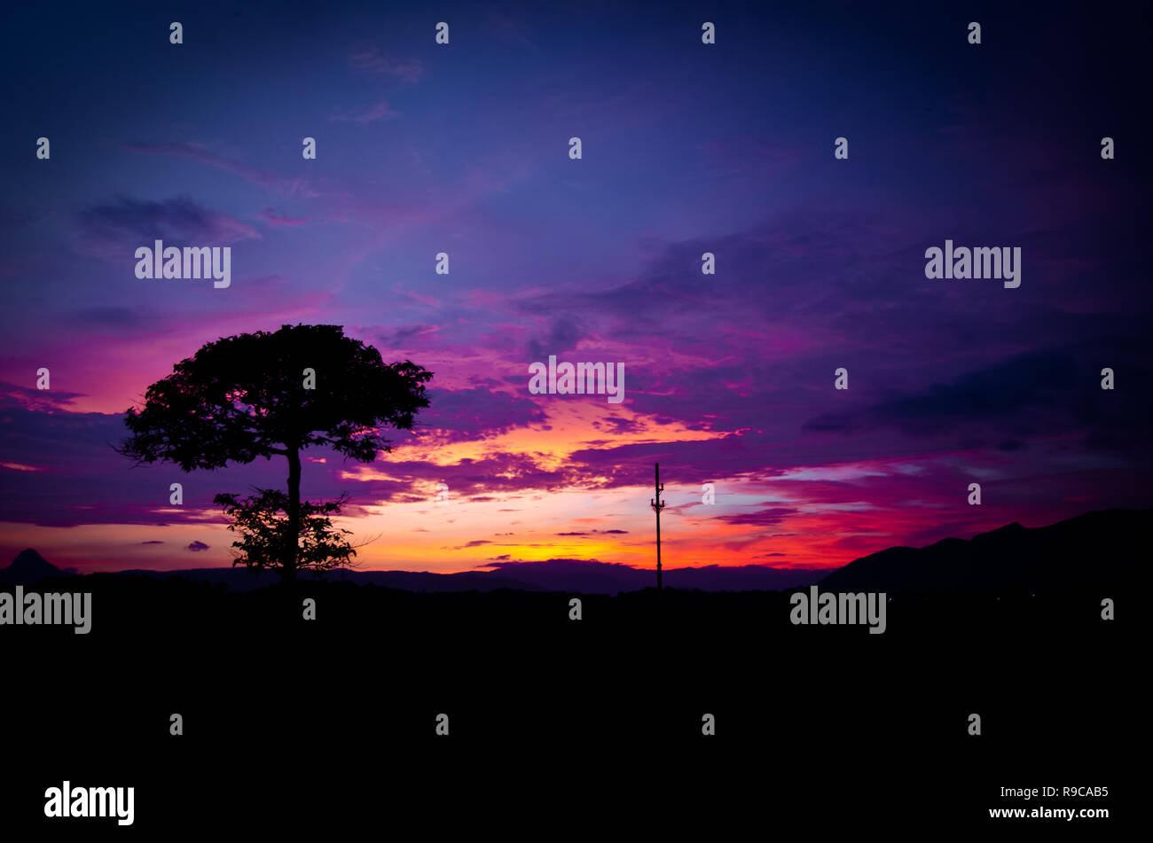 Colorful sunset and silhouette lone tree Stock Photo - Alamy